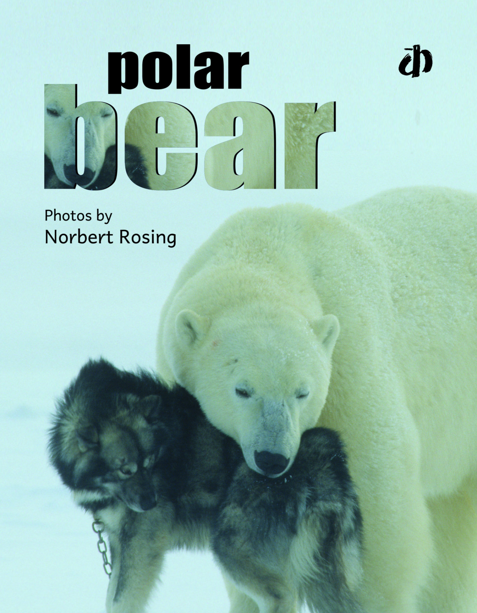 Book Review: Polar Bear By Norbert Rosing - Pure & Eco India - Organic ...