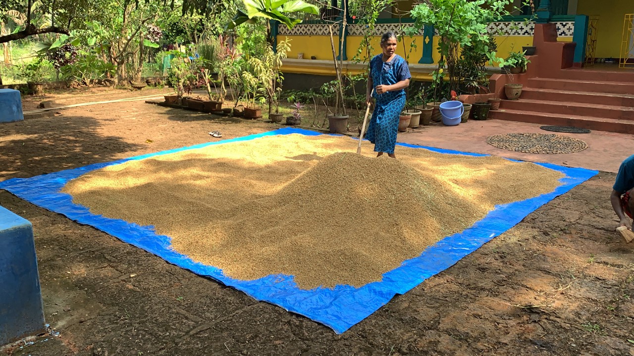 Ramp to Farm – Tinu Verghis - Pure & Eco India - Organic Magazine ...